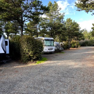 Heceta Beach RV Park - Florence, Oregon - RV LIFE Campground Reviews